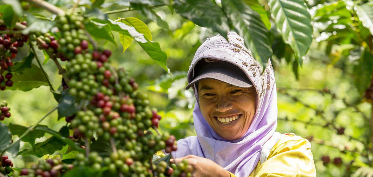 Celebrating Women and Coffee – Thanksgiving Coffee Company